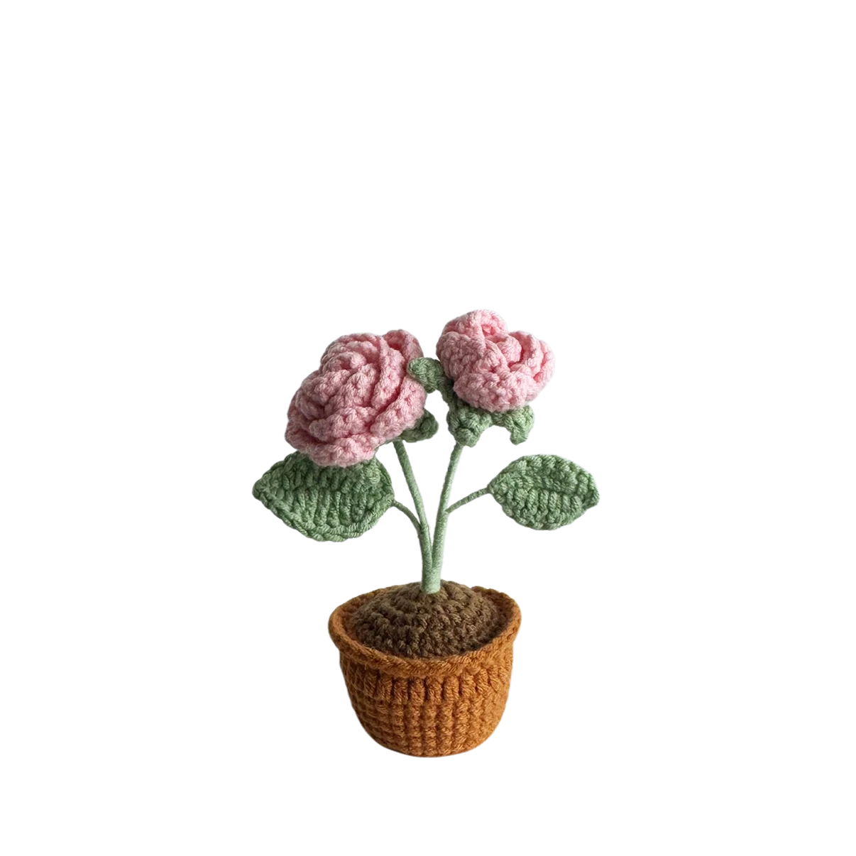 Mini Pink Rose Pot Plant – The Flower Stall
