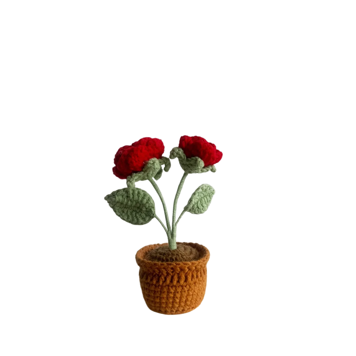 Mini Red Rose Pot Plant – The Flower Stall